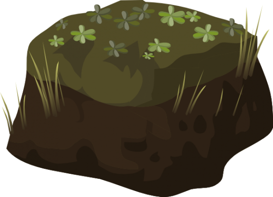 388. Peat Bogs - Christina Sinclair: Salty Sam's Fun Blog for Children