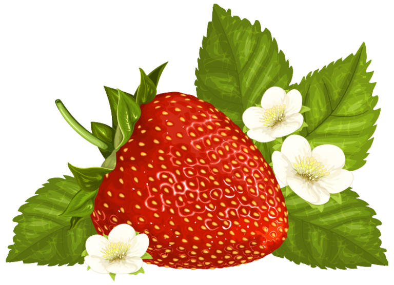 442. Planting Strawberries - Christina Sinclair: Salty Sam's Fun Blog ...